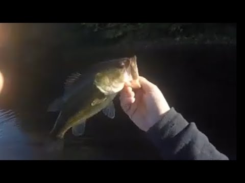 Goose Pond, Lee Massachusetts October 2019 - YouTube