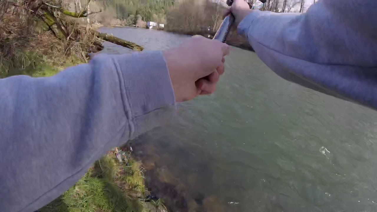 How to bobber dog steelhead - YouTube