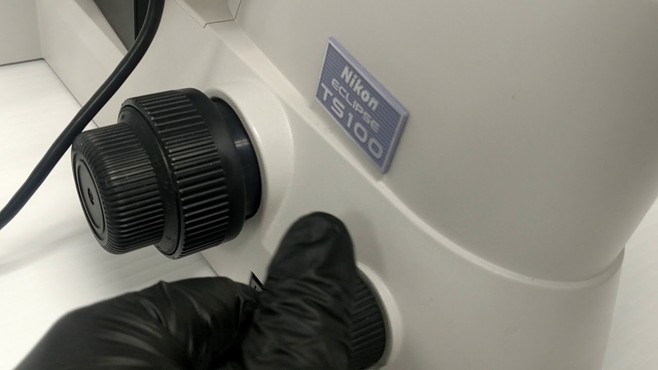 Nikon TS100 Inverted Fluorescence Microscope [BOSTONIND] - 15198 - YouTube