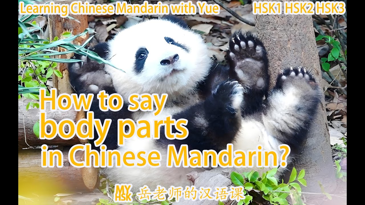 【Mandarin Learning】How to say body parts in Mandarin? HSK1 HSK2 HSK3 ...