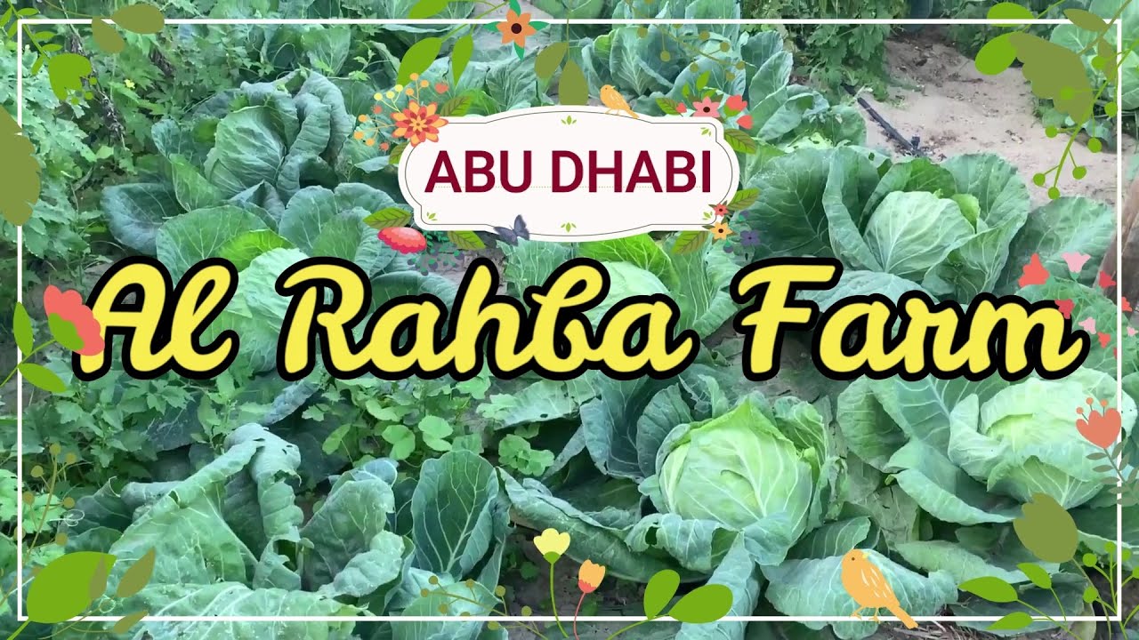 Al Rahba Organic Farm | Travel Vlog | Abu Dhabi | Everything you need ...