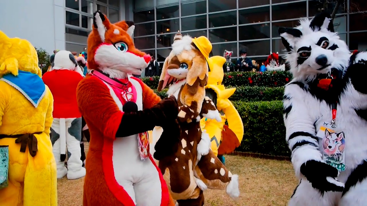 JMoF 2019 - YouTube