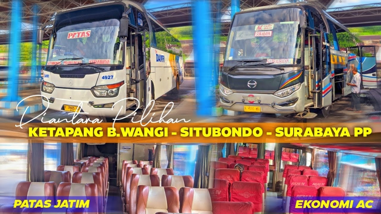 WOW 🔥AKAS IV "Si Boy" BANYUWANGI - SURABAYA VIA SITUBONDO || 2025 - YouTube