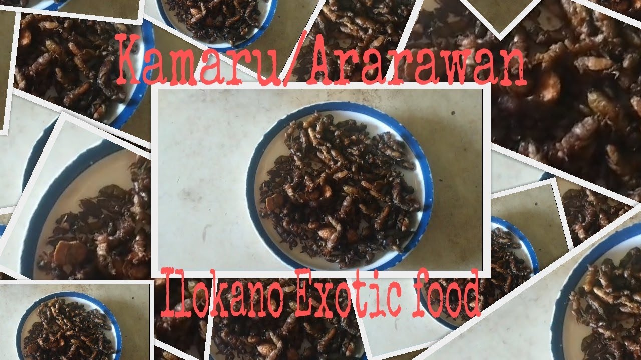 Crispy Fried Kamaru or Ararawan Ilokano Exotic food/ How to cook kamaru ...