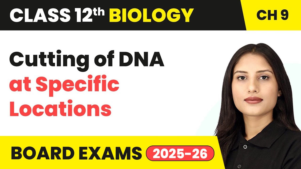 Cutting of DNA at Specific Locations | Class 12 Biology Chapter 9 ...