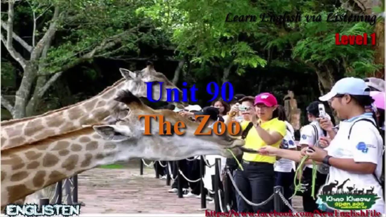 The Zoo Learn English Via Listening Level 1 Unit 90 YouTube the-zoo-learn-english-via-listening-level-1-unit-90-youtube