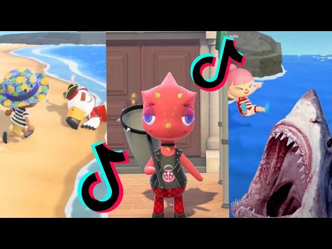 animal crossing tik tok memes i caught during the bug-off