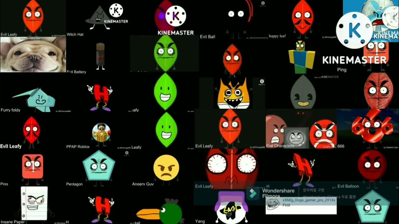 36 bfdi auditions - YouTube