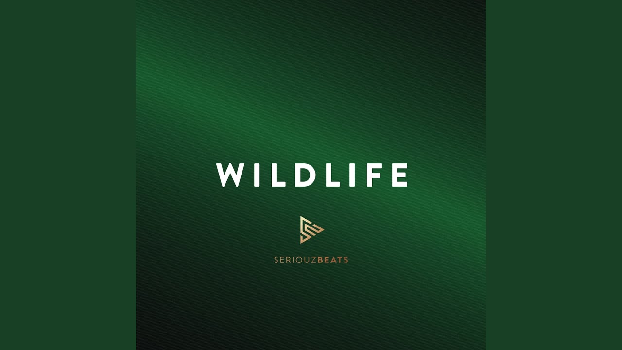 Wildlife - YouTube