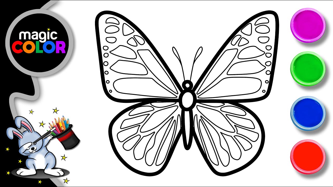 How to draw Butterfly - Easy Draw Magic Color for kids - Magic Color ...