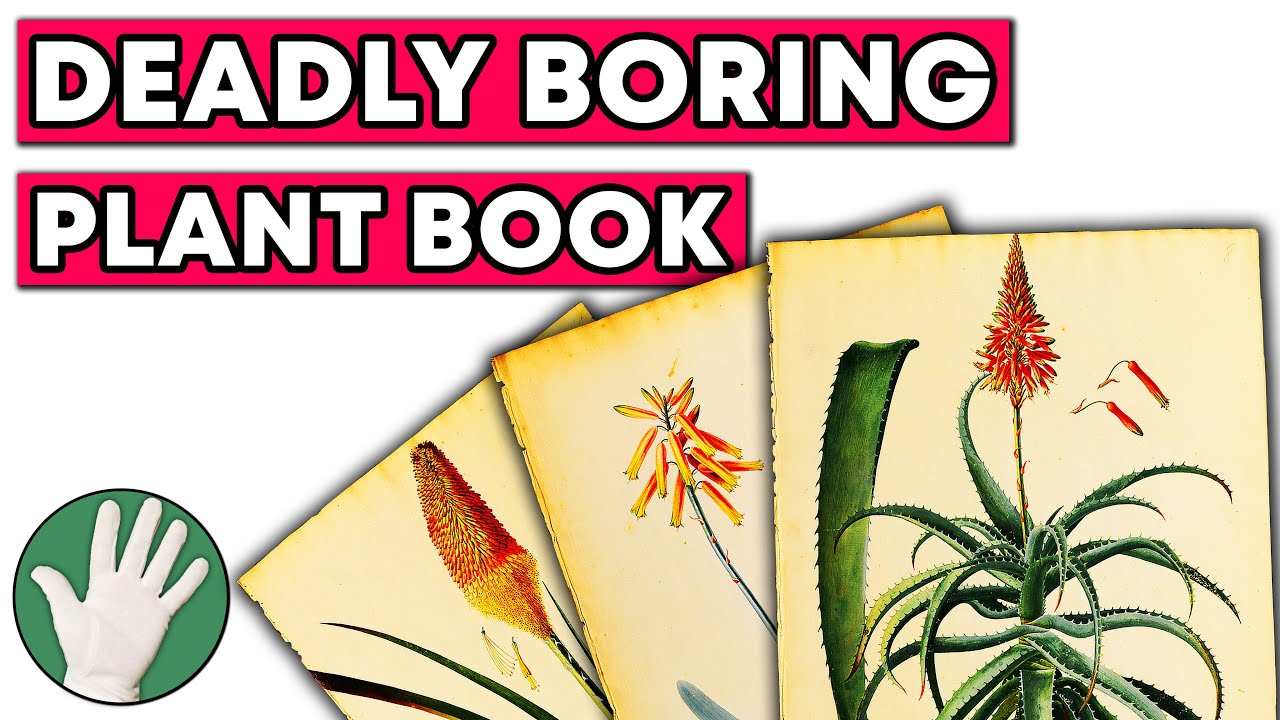 The Deadly Boring Plant Book - Objectivity 82 - YouTube