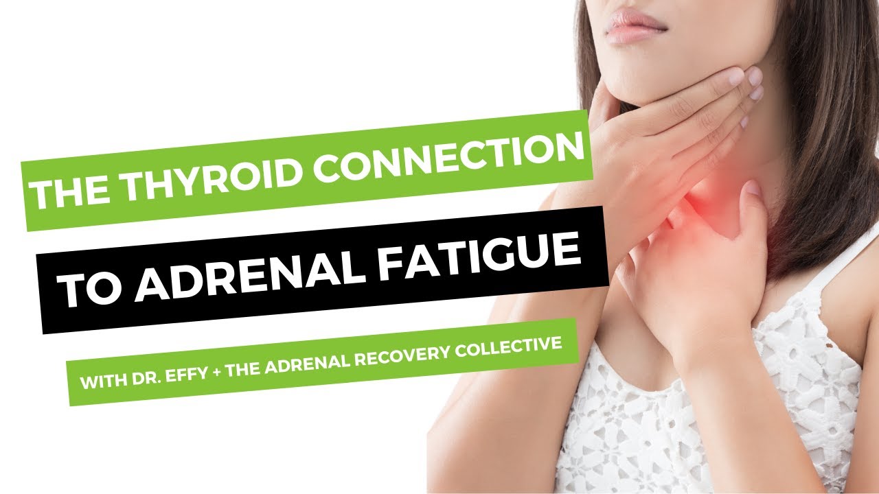 The Adrenal Thyroid Link and What to Do About it - YouTube