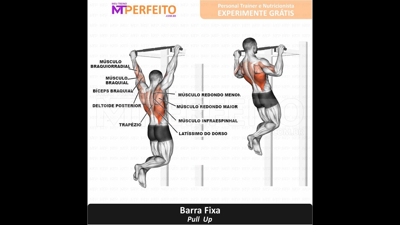 Barra Fixa - Músculos Trabalhados - YouTube