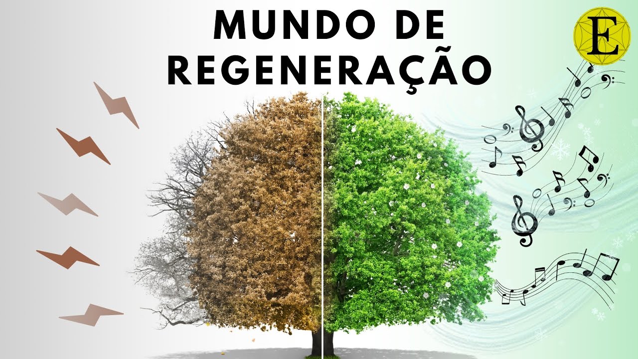 MUNDO DE REGENERAÇÃO | Evoluir 194 - YouTube