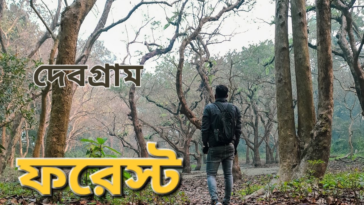 debogram forest, gangnapur - YouTube