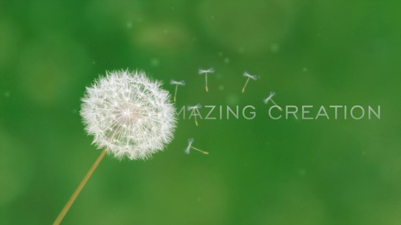 Making an intro for amazing creation - YouTube