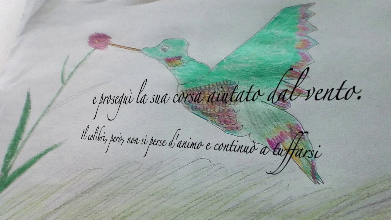 La favola del Colibri - YouTube