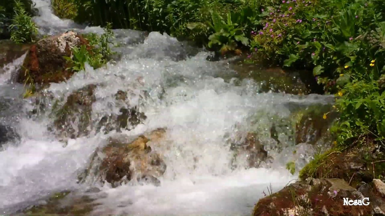 GORNJI DUSNIK - YouTube