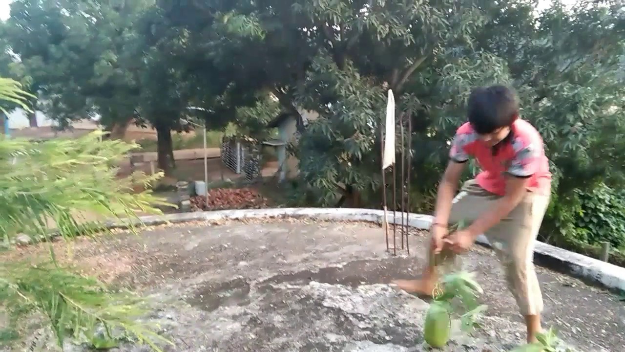 A happy and dodka day - YouTube