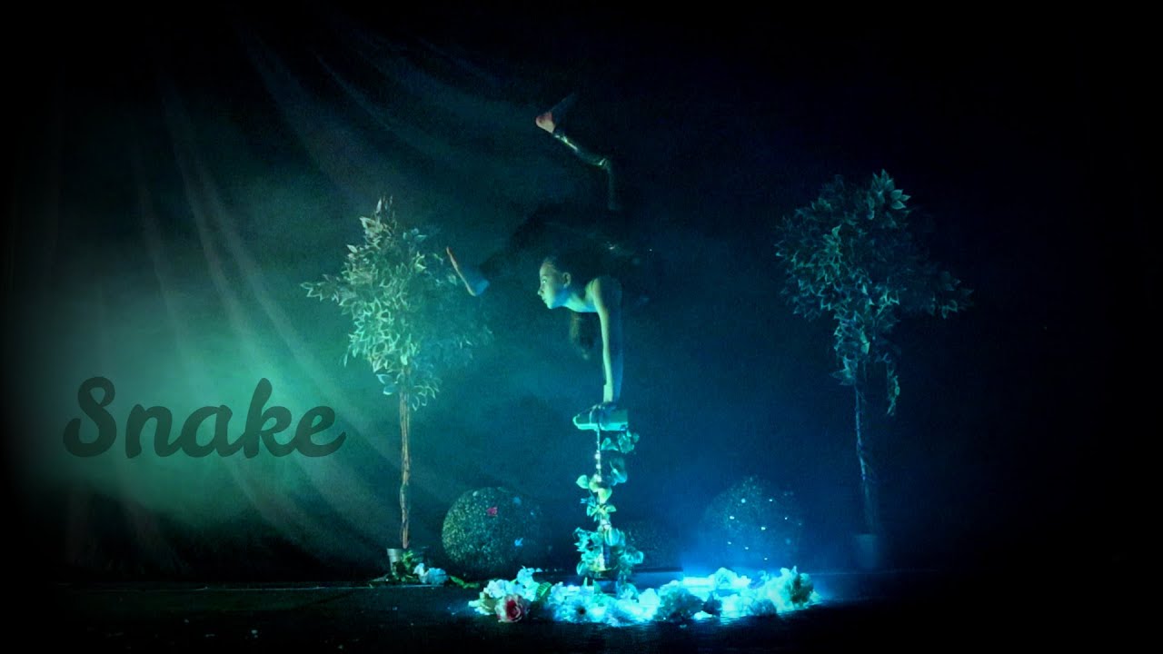 SNAKE / CONTORTION AND HANDSTAND CANES PERFORMANCE / BORI MARÓDI - YouTube