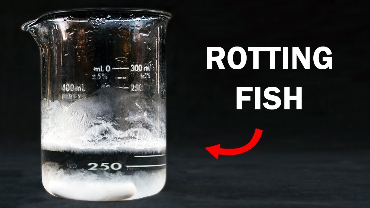 Making Trimethylamine - The Stench of Rotting Fish - YouTube
