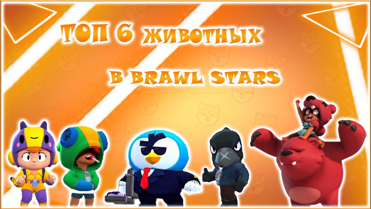 ТОП 6 ЖИВОТНЫХ В БРАВЛ СТАРС! / TOP 6 ANIMAL IN BRAWL STARS ! - YouTube