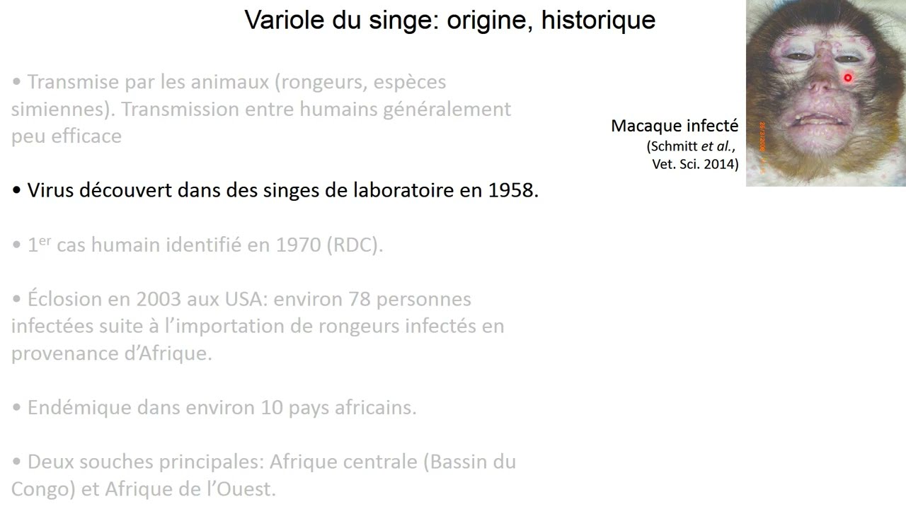 Variole du singe : biologie - YouTube