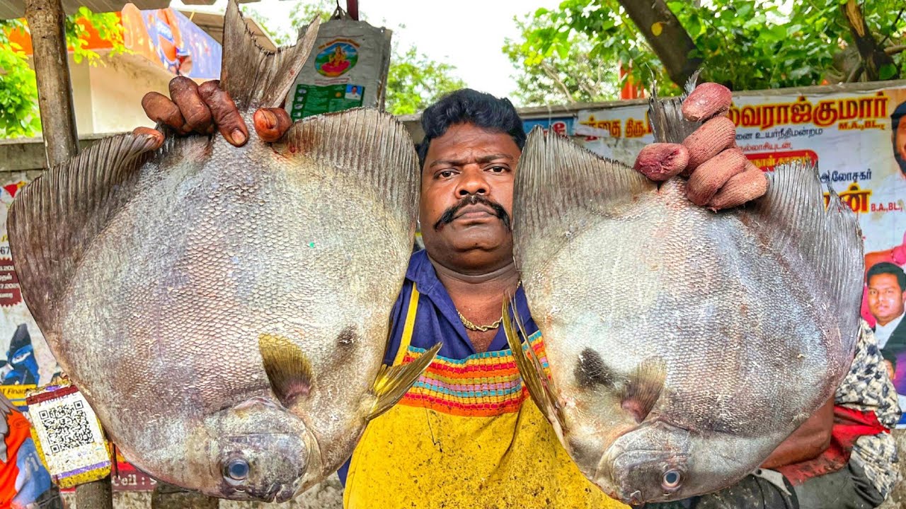 KASIMEDU 🔥 SPEED SELVAM | HUGE SADANGAN FISH CUTTING VIDEO | 4K VIDEO ...