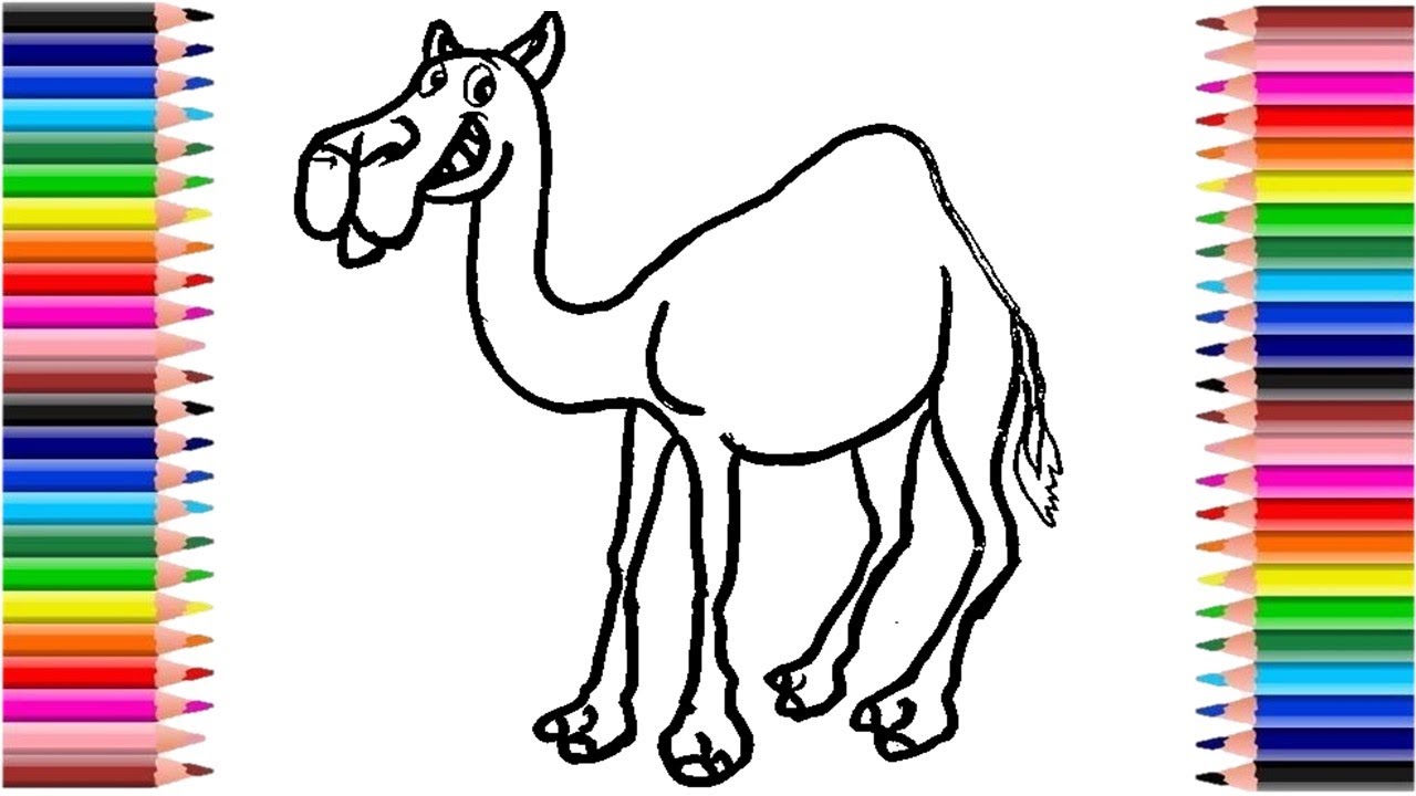 How to Draw Camel || How to Color a Camel for Kids || Drawing for Kids ...