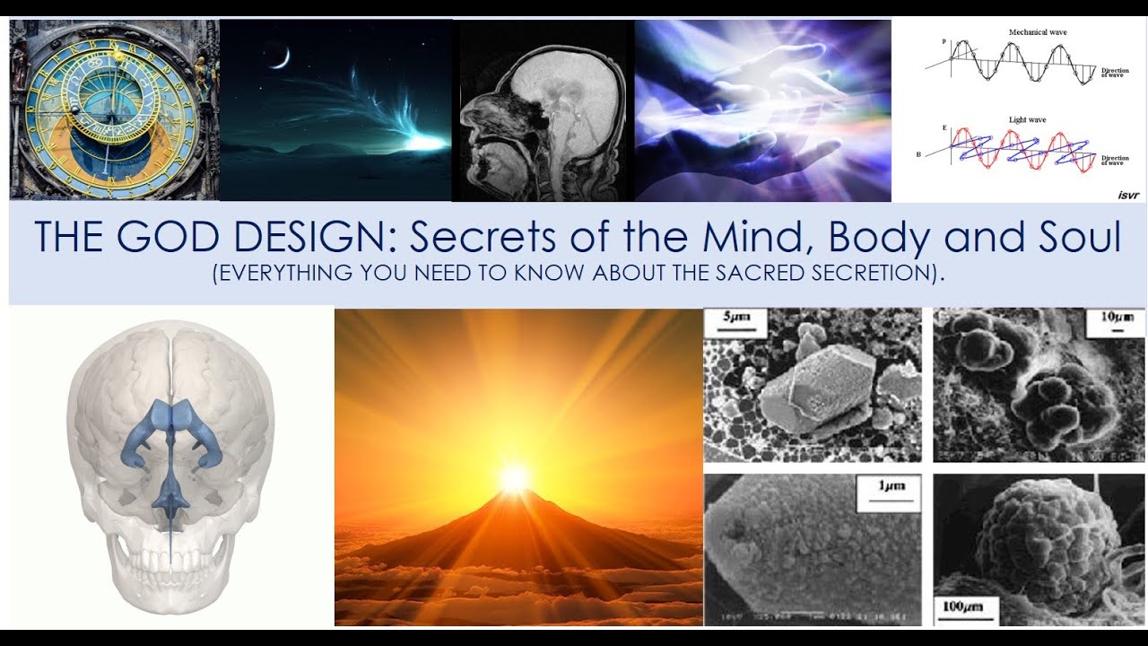 THE GOD DESIGN : Secrets of the Mind, Body and Soul (FULL DETAILS of ...