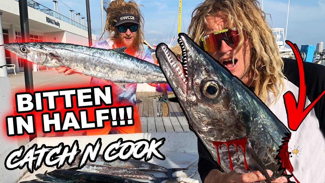 A SEA MONSTER STOLE MY DINNER!! (Catch N Cook Survival) - YouTube