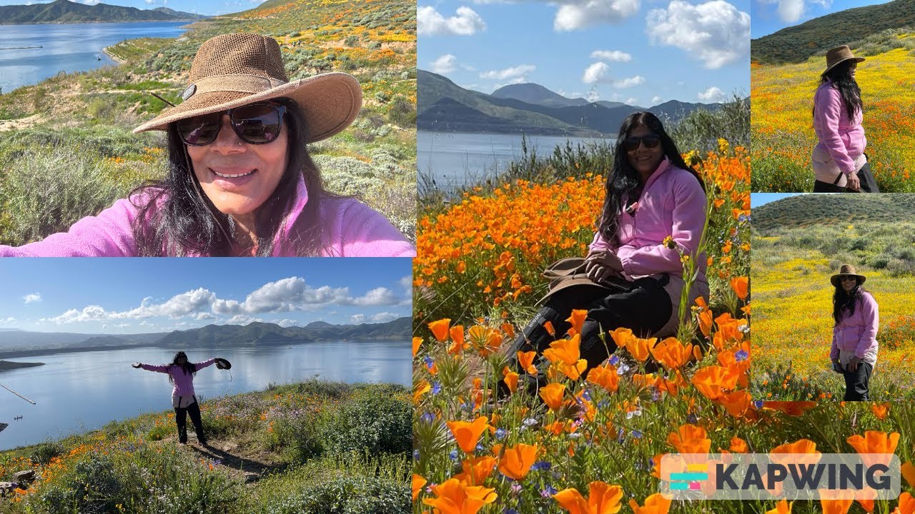 Diamond Valley Lake Wildflower Trail near Hemet ,California ( USA ...