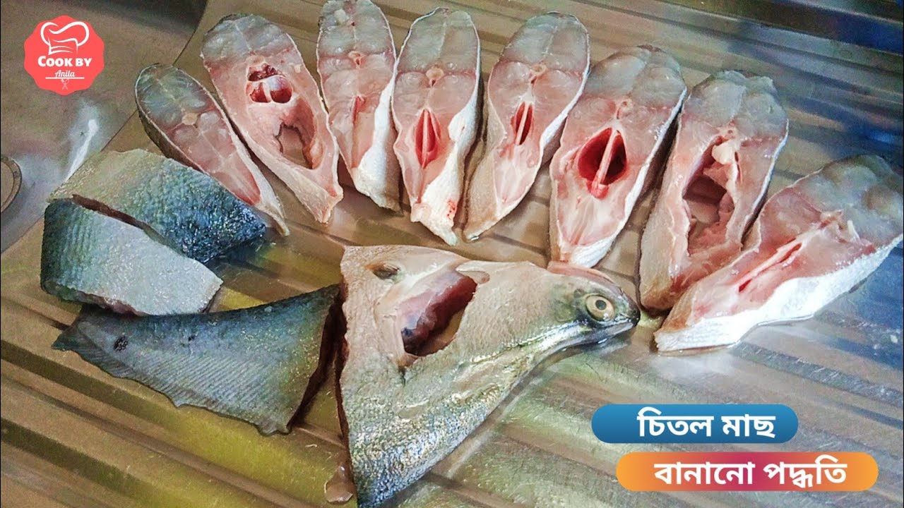 Fish Cutting | Chitol Mas Kata | Fish Cutting Skills | চিতল মাছ বানানো ...