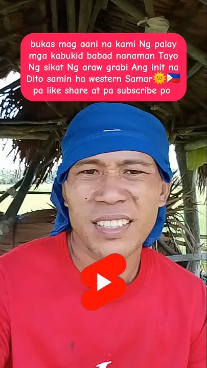 MAG-AANI NA KAMI NG PALAY AT MAGANDA NA ANG PANAHON - YouTube