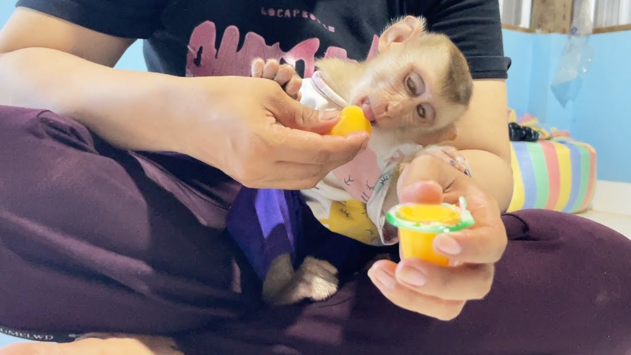 Yummy Yummy| First Time Mom Give Jelly To Chaly & Chaly Love To Eat ...