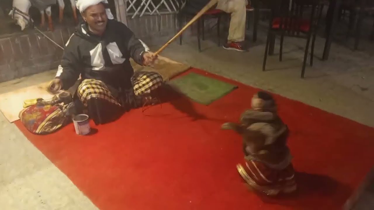 BANDAR || BANDAR KA KHEL || BANDAR KA TAMASH || BANDAR KI VIDEO ...
