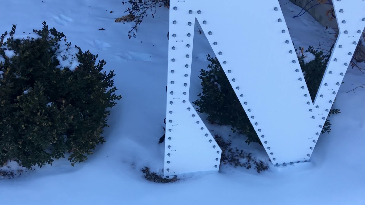 Gandor Family Light Show - 2019 Behind the Scenes - YouTube