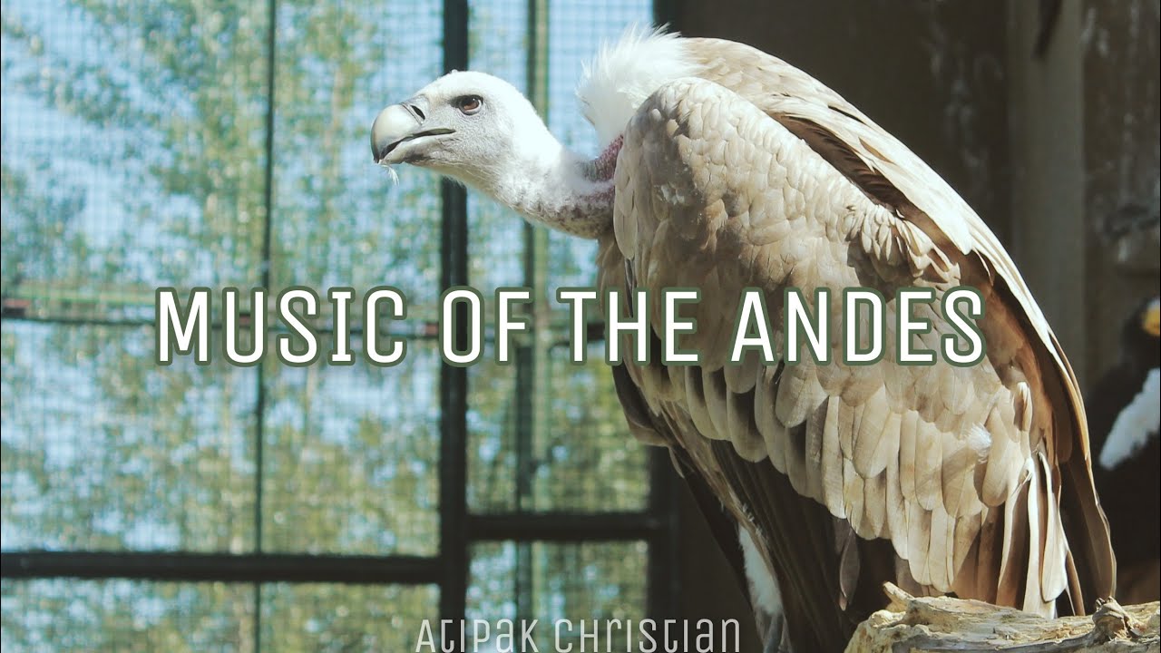 Sunday to share the music with our friends 🔥🎶 | @AtipakChristian - YouTube