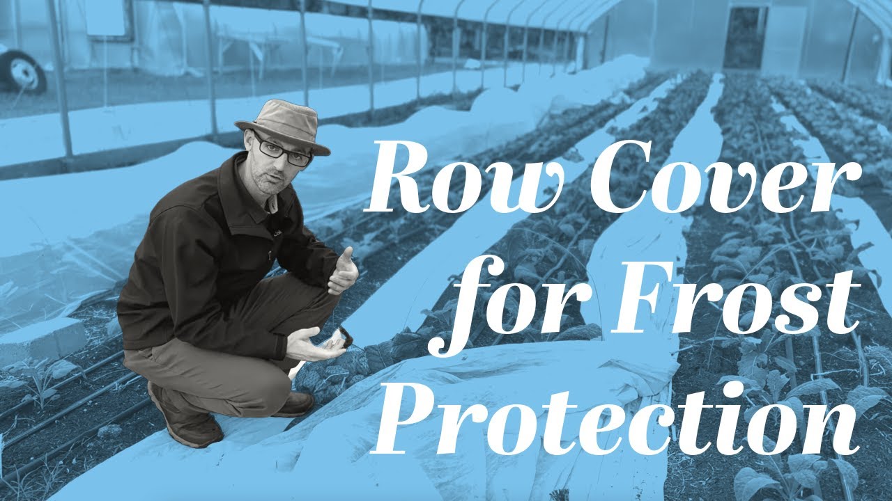 Row Covers For Frost Protection