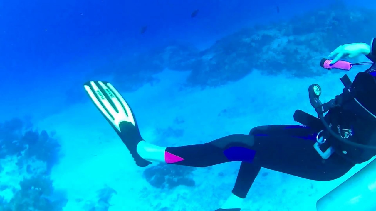 Santa Rosa Wall Cozumel 12-21-2016 dive 1-3 - YouTube