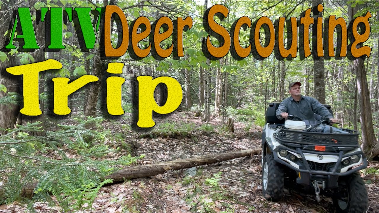 ATV Deer Scouting Trip - YouTube