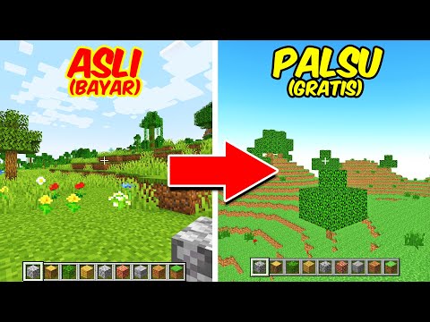Bermain Minecraft TIRUAN dari yang TERBURUK Sampai TERBAIK