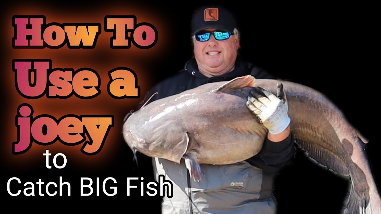 The Secret to Catching Giant Fish - YouTube