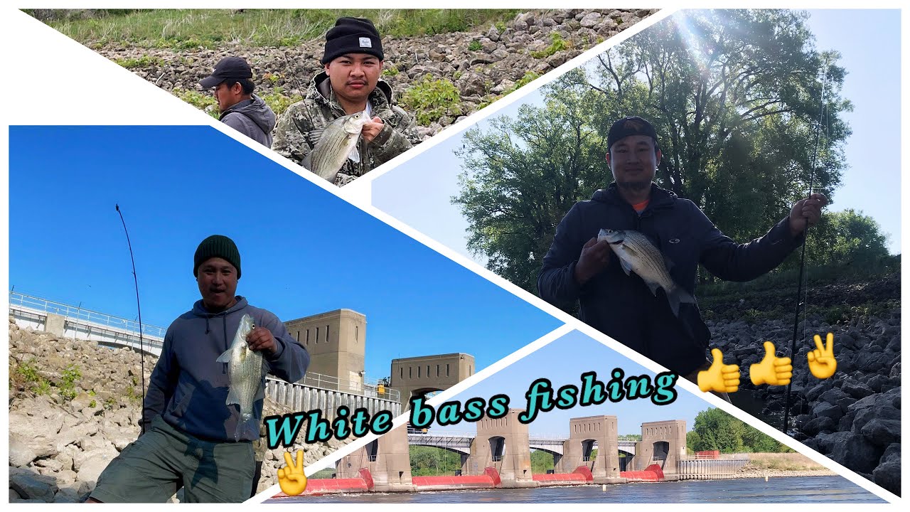 Where to fish white Bass in Minnesota - YouTube