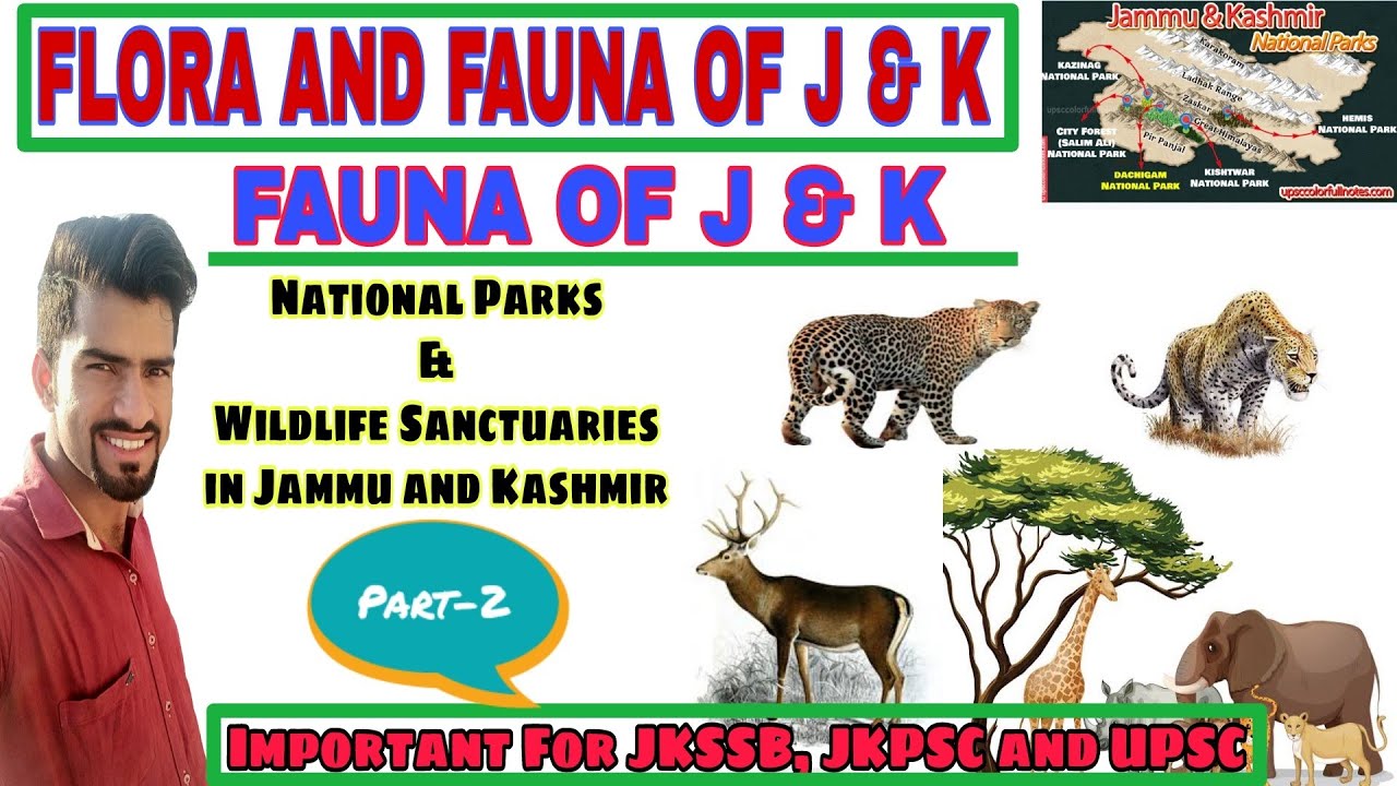 Wildlife In J&K | Fauna Of Jammu and Kashmir | Part-2 | National Parks ...
