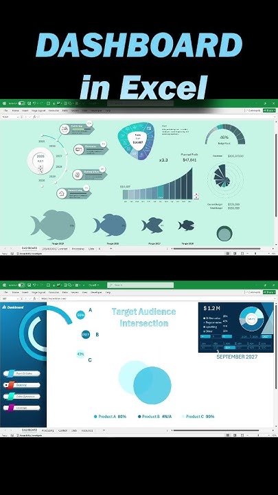 Business Project Management Dashboards in Excel - YouTube