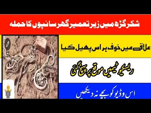 Shakar Garh Mein 29 Saanp Ghar Se Nikle – Ajeeb Manzar - YouTube