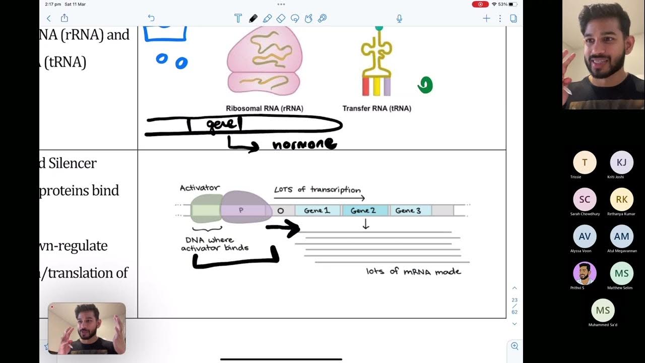 HSC Biology Module 6: Genetic Change - YouTube