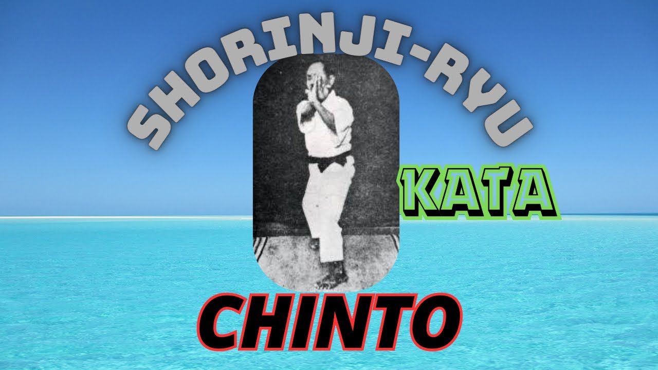 CHINTO (KATA) ADANCED KATA IN SHORINJI-RYU KARATE - YouTube