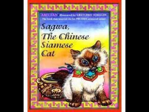 Sagwa, The Chinese Siamese Cat (Amy Tan, Book Now!) - YouTube